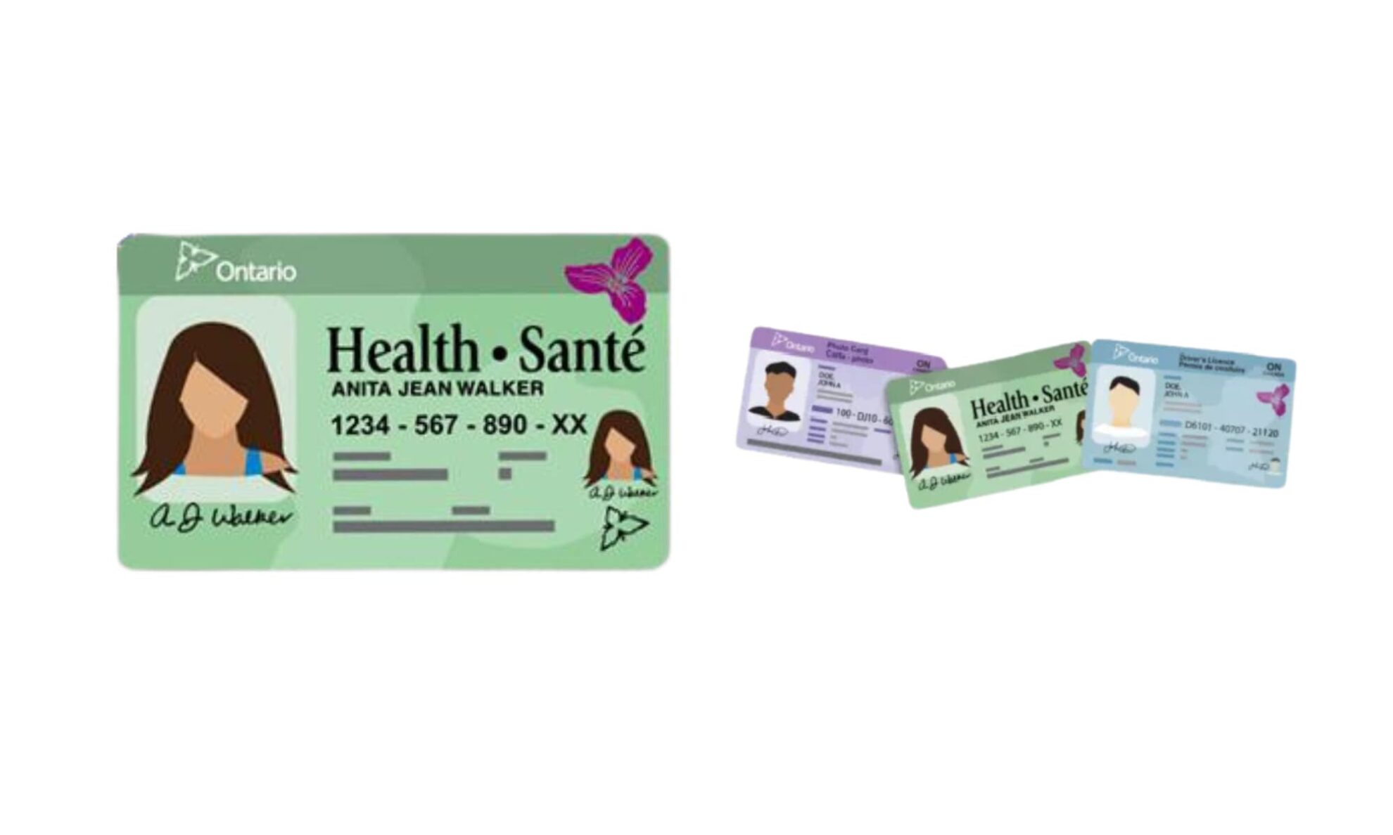 Ontario Fertility Program (OFP)